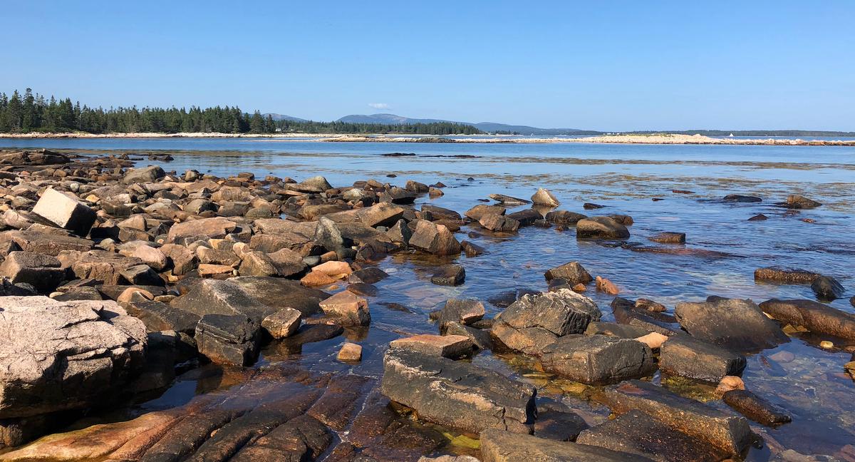 Puritz Lab of Marine Evolutionary Ecology