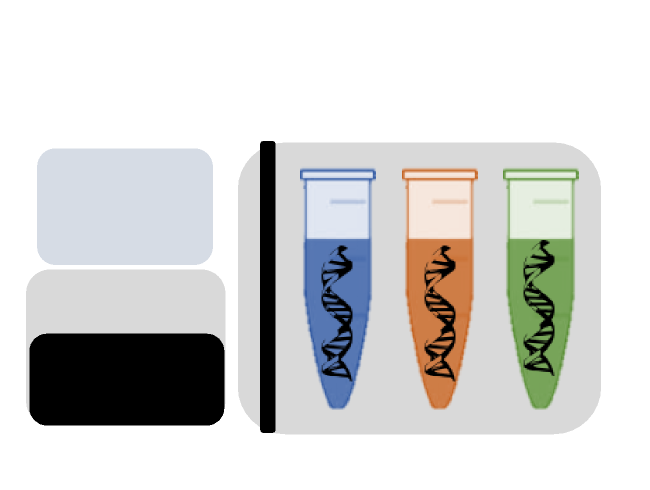 Next-generation sequencing | Puritz Lab of Marine Evolutionary Ecology